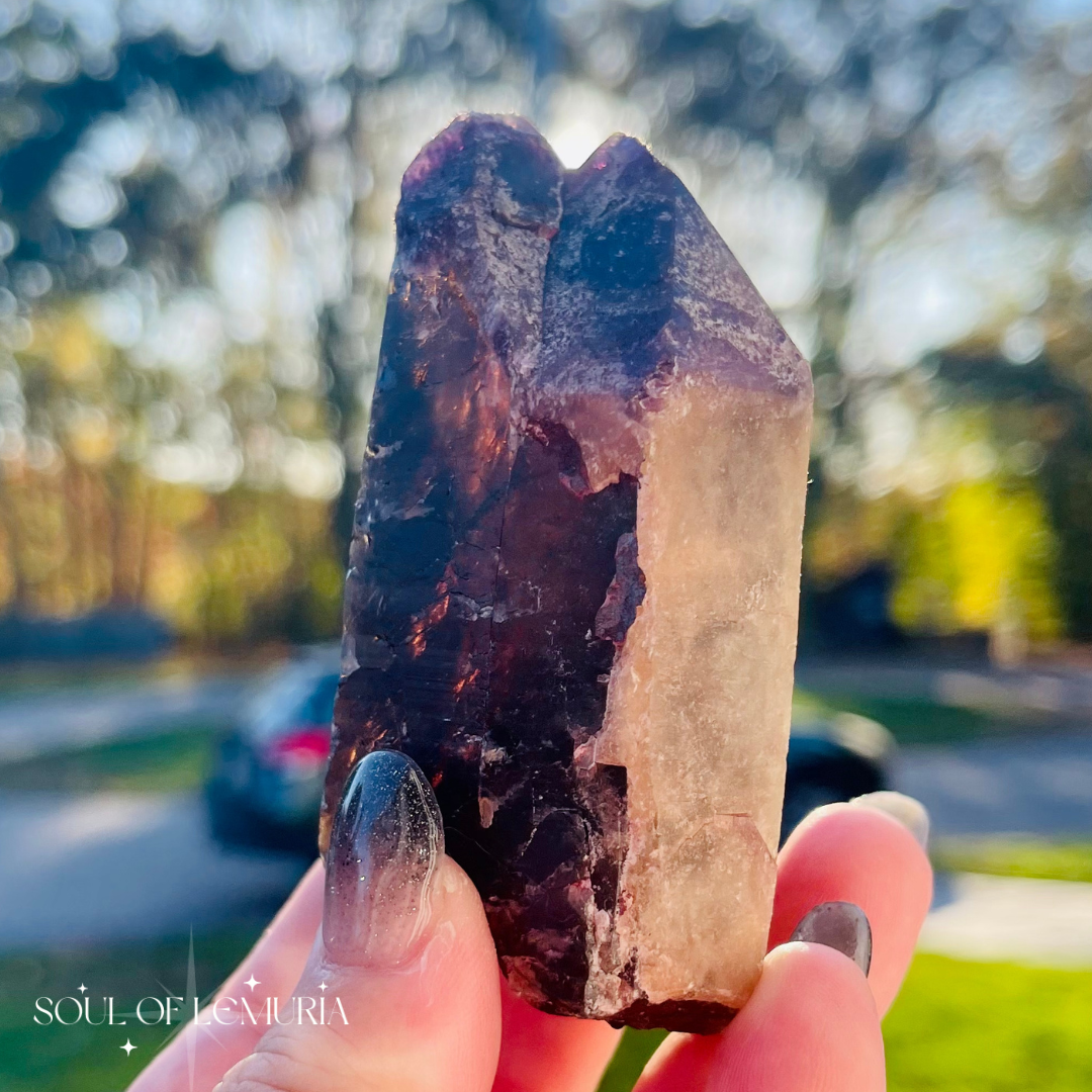 SOL Family Note October | November 2022